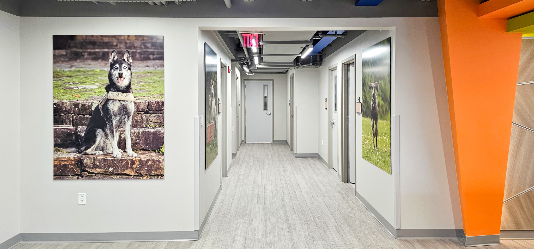 Design Projects 1 - The Princeton Companies